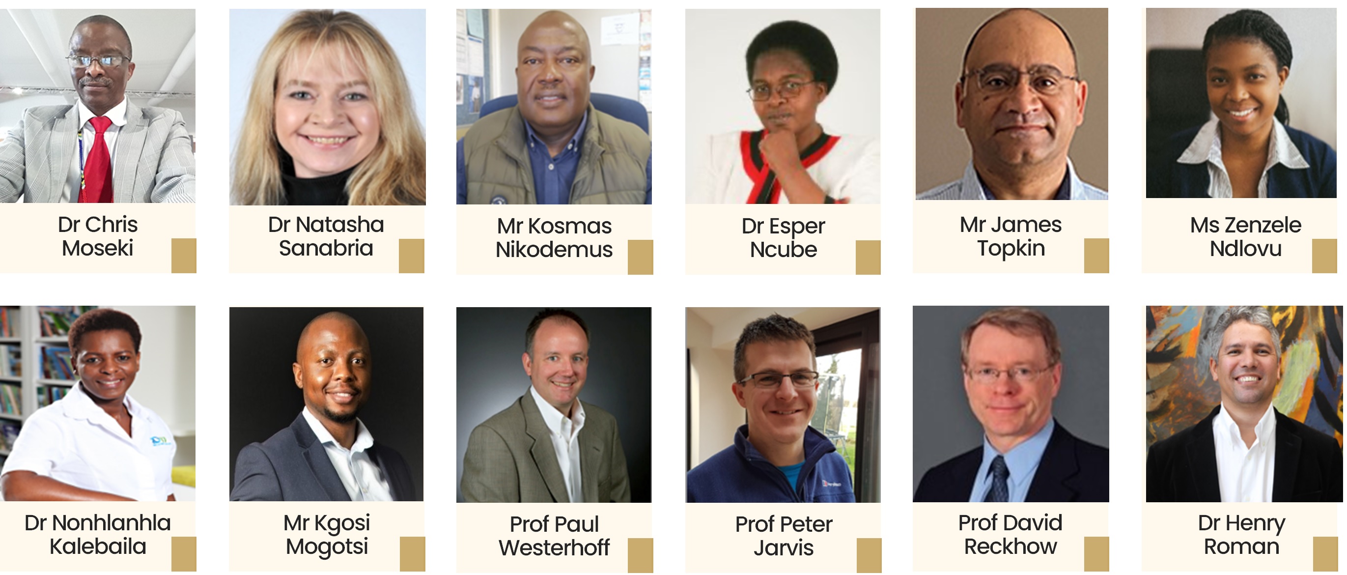 Advisory Board Members