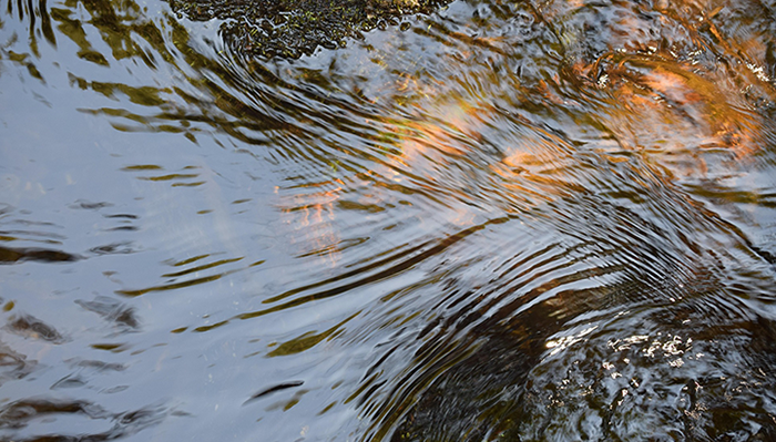 Unisa-UK study shows promise for acid mine drainage recycling